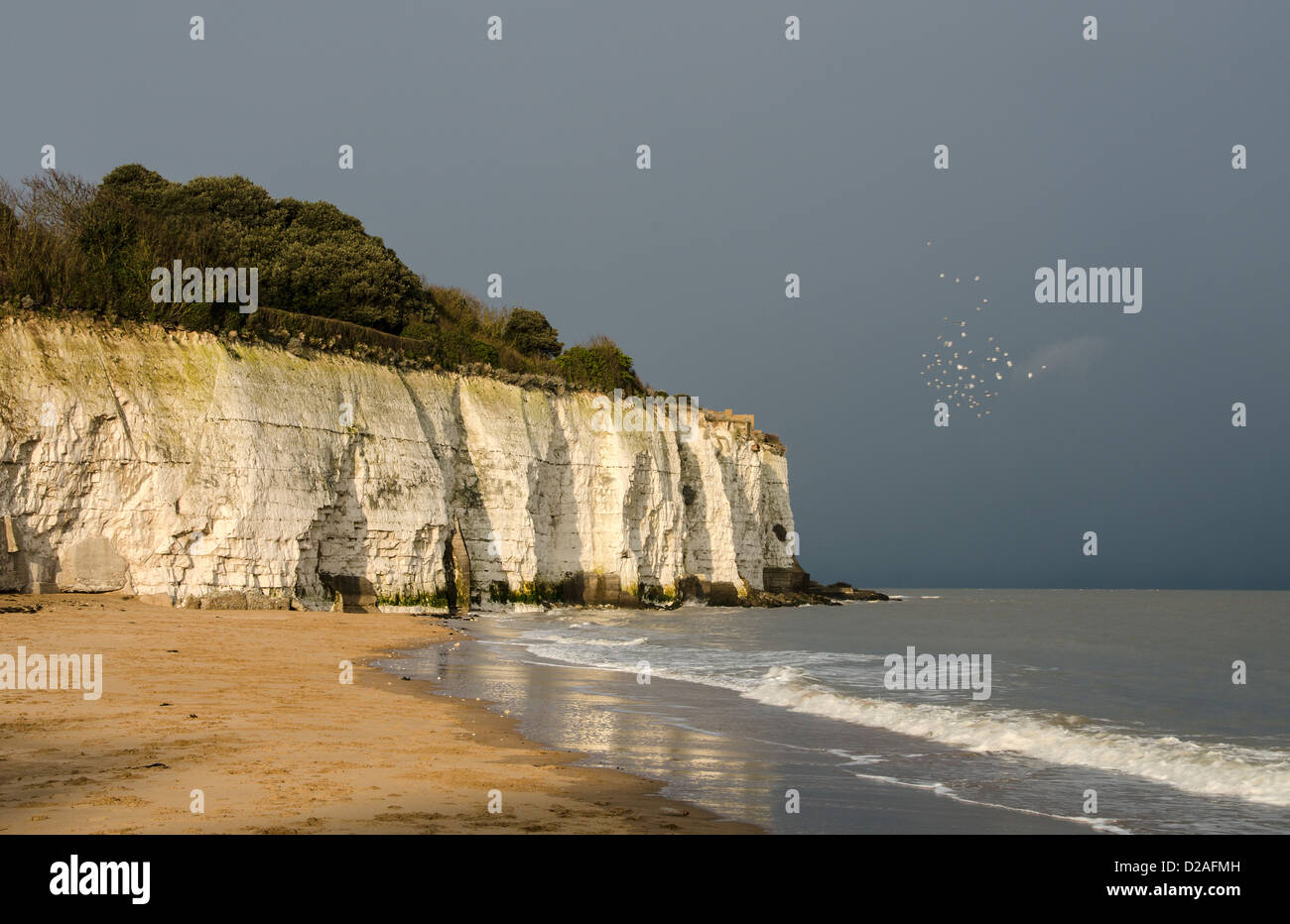 Stone bay beach Stock Photo - Alamy