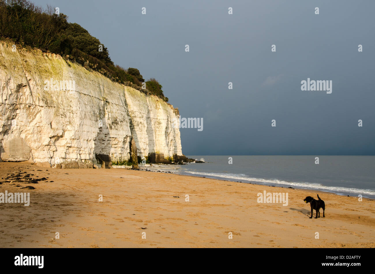 Stone bay Beach Stock Photo - Alamy