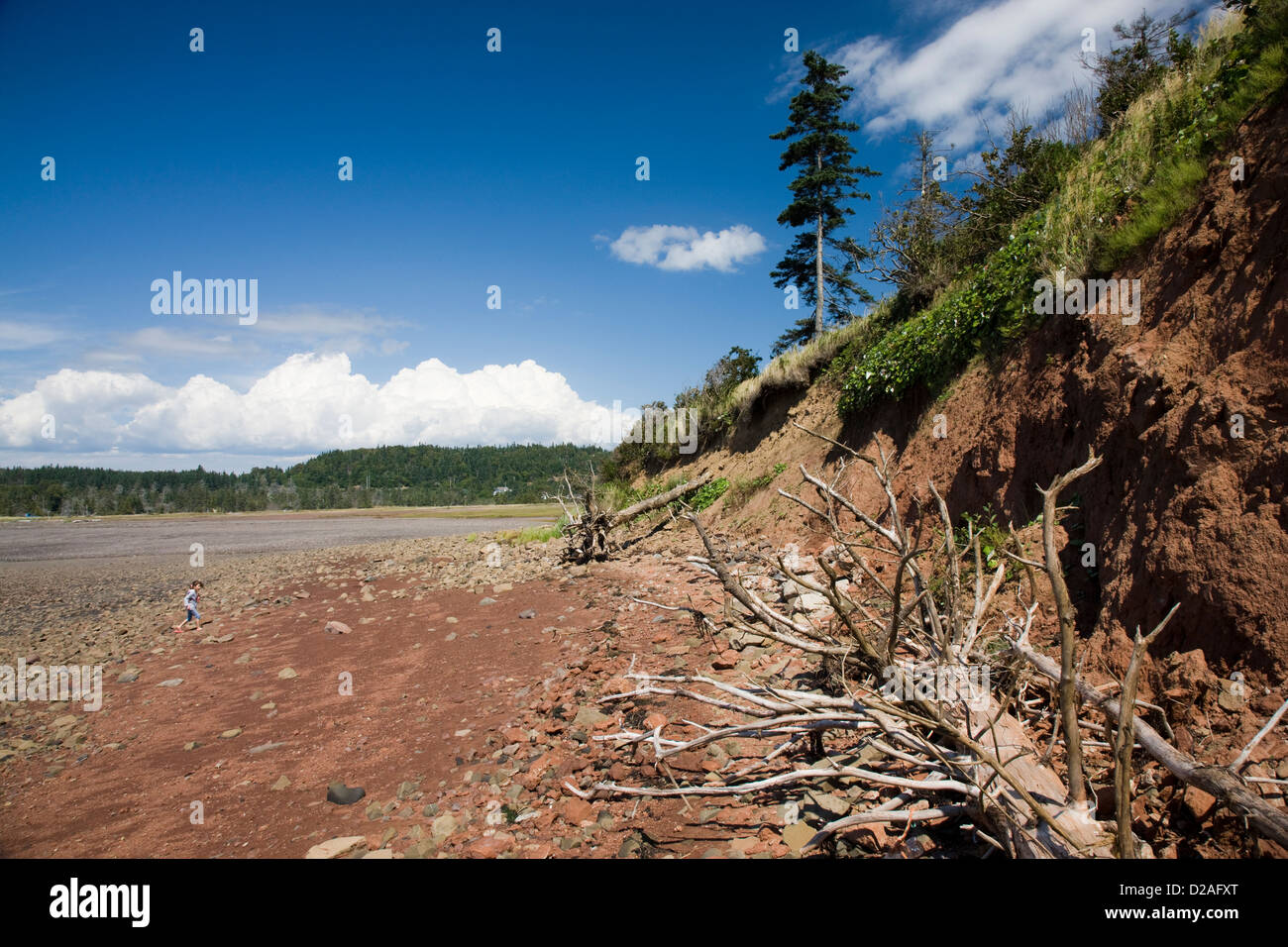 The beach and sea of Partridge Island near Parrsboro, Nova Scotia Stock ...