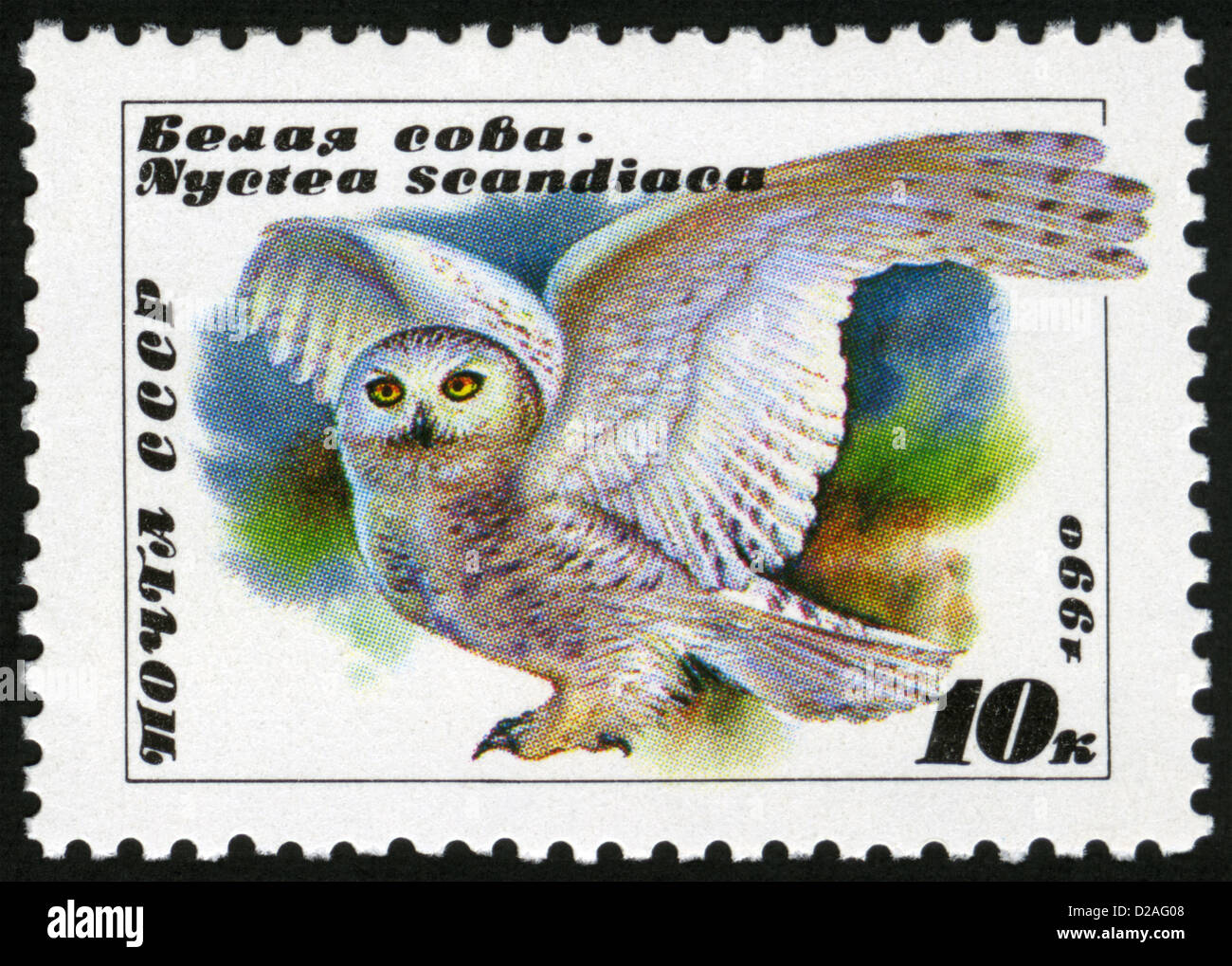 Vintage owl illustrations hi-res stock photography and images - Alamy