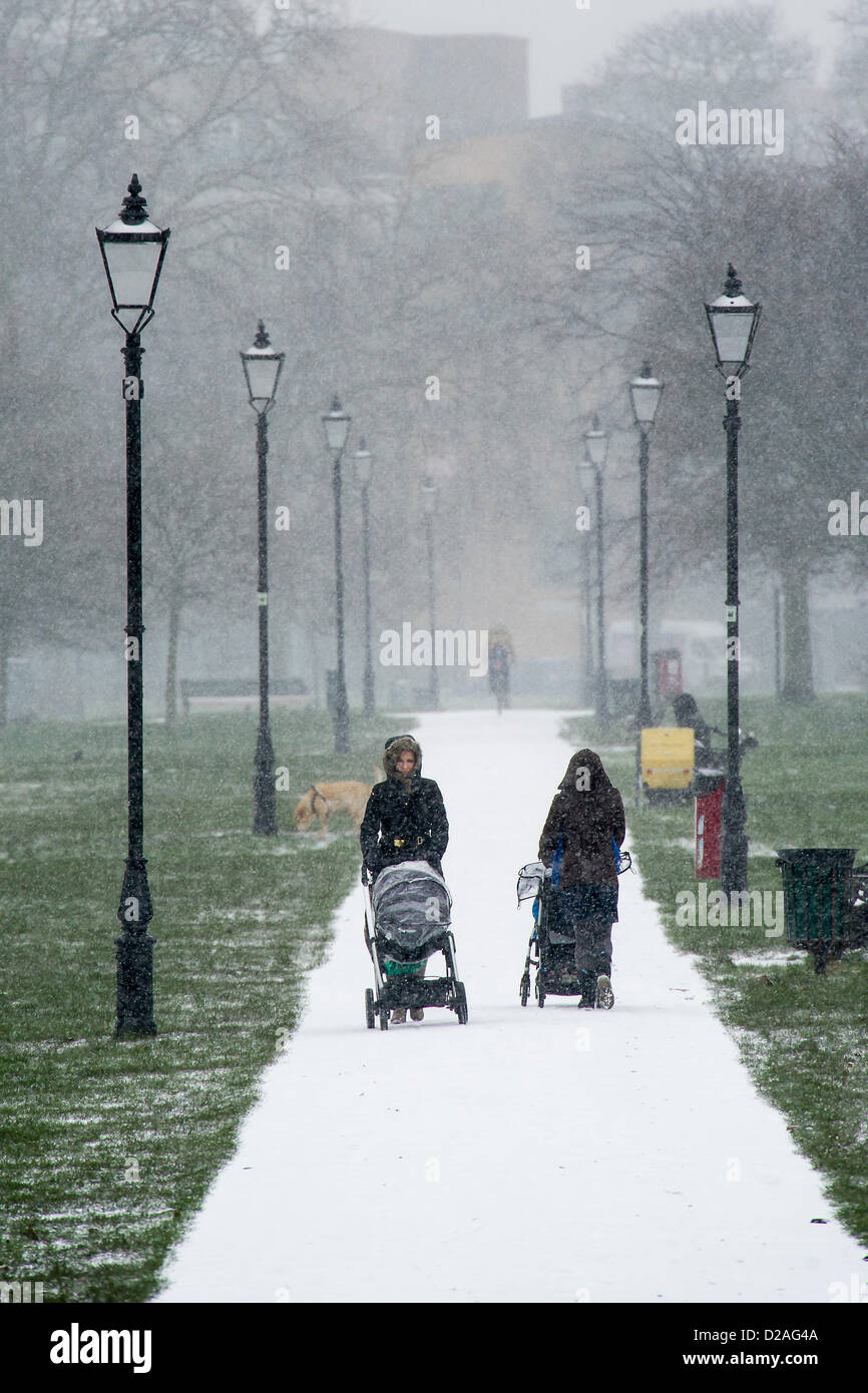 Snowfall makes commuting more challenging but does not stop dogwalkers ...