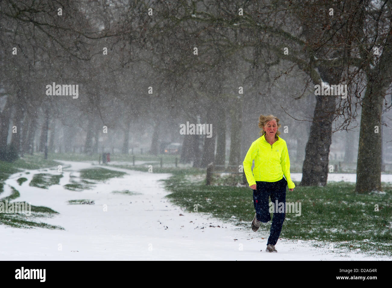 Snowfall makes commuting more challenging but does not stop dogwalkers ...