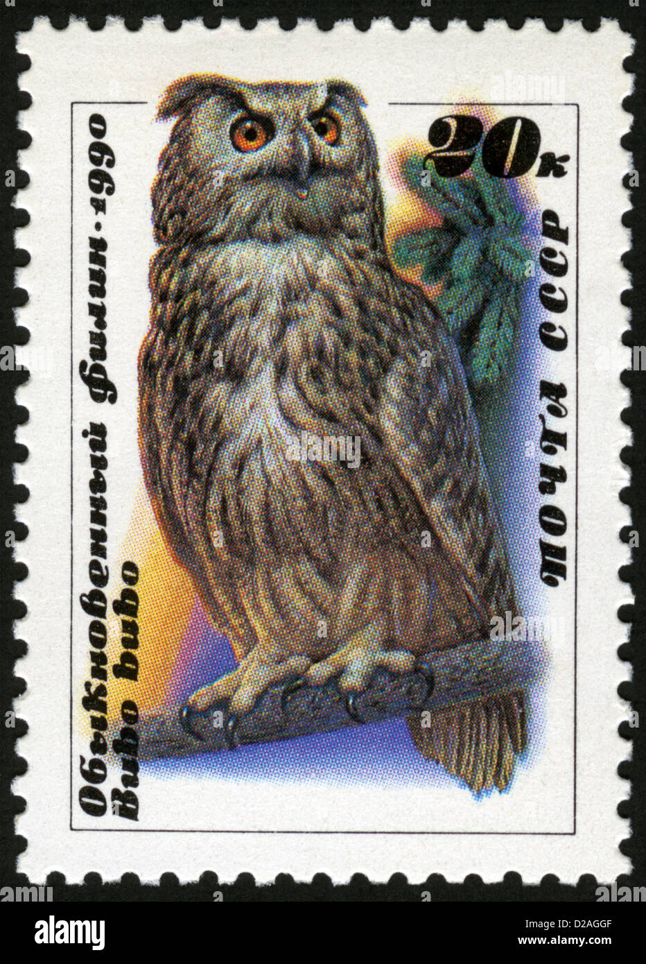 Vintage owl illustrations hi-res stock photography and images - Alamy
