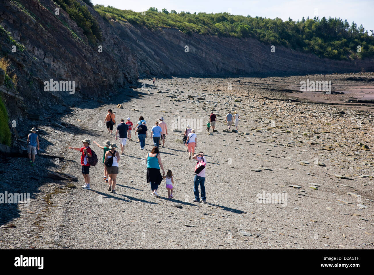 The beach and cliffs at the Joggins fossil cliffs, Nova Scotia, Canada ...