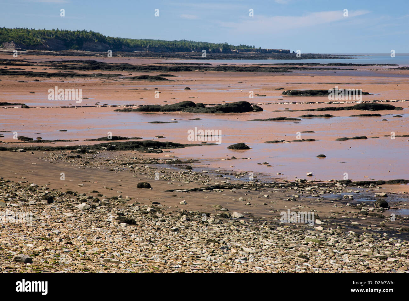 The beach and cliffs at the Joggins fossil cliffs, Nova Scotia, Canada ...