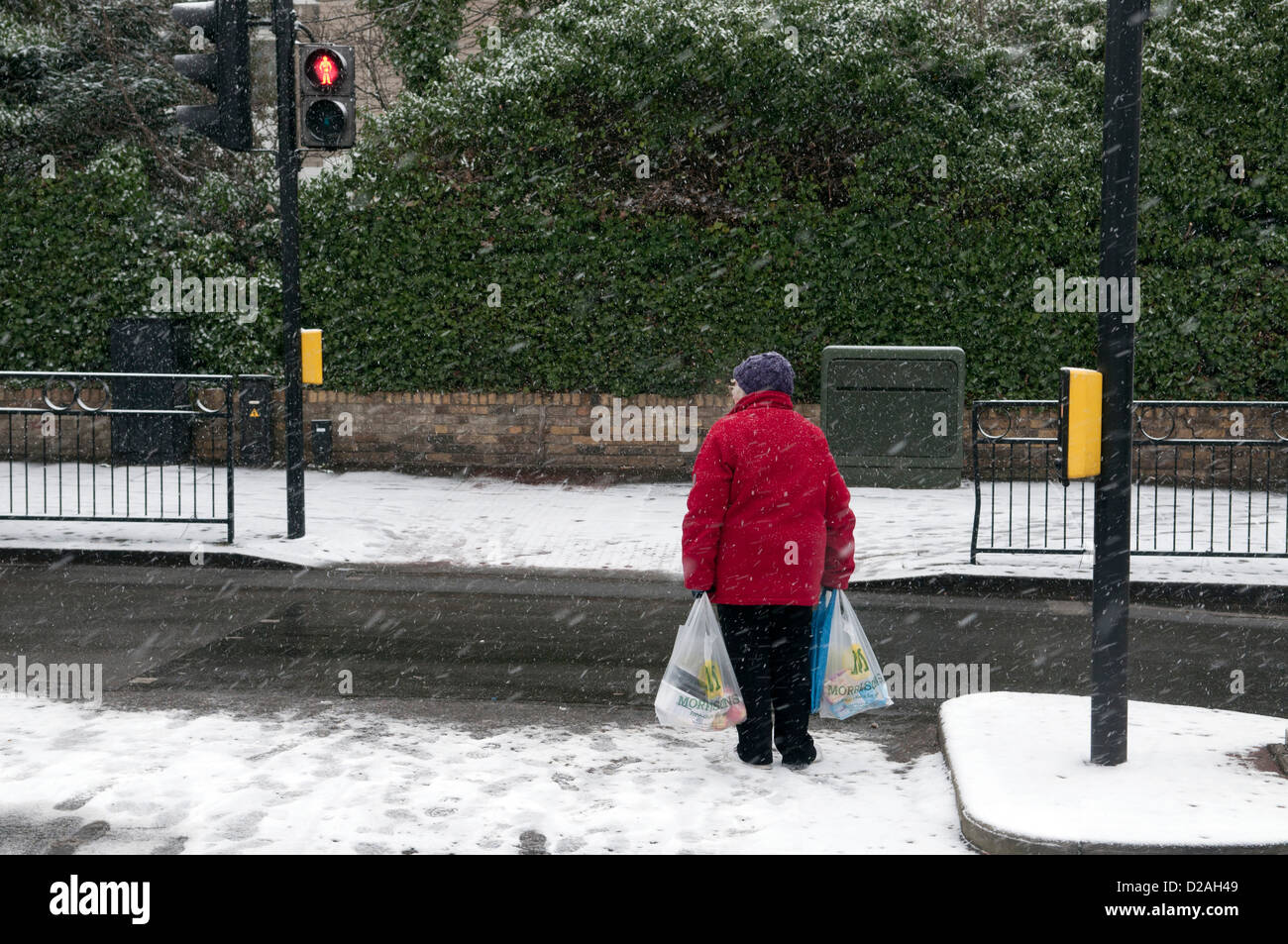 An elderly woman crossing the road in the snow Stock Photo - Alamy