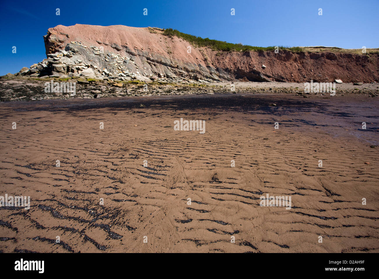 Joggins fossil cliffs hi-res stock photography and images - Alamy