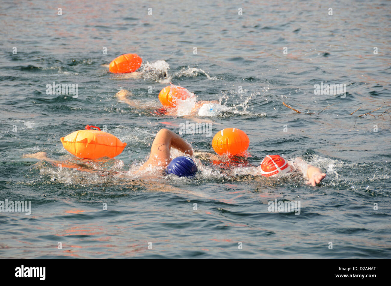 winter swimmers racing , floats make it easier for safety team to track ...