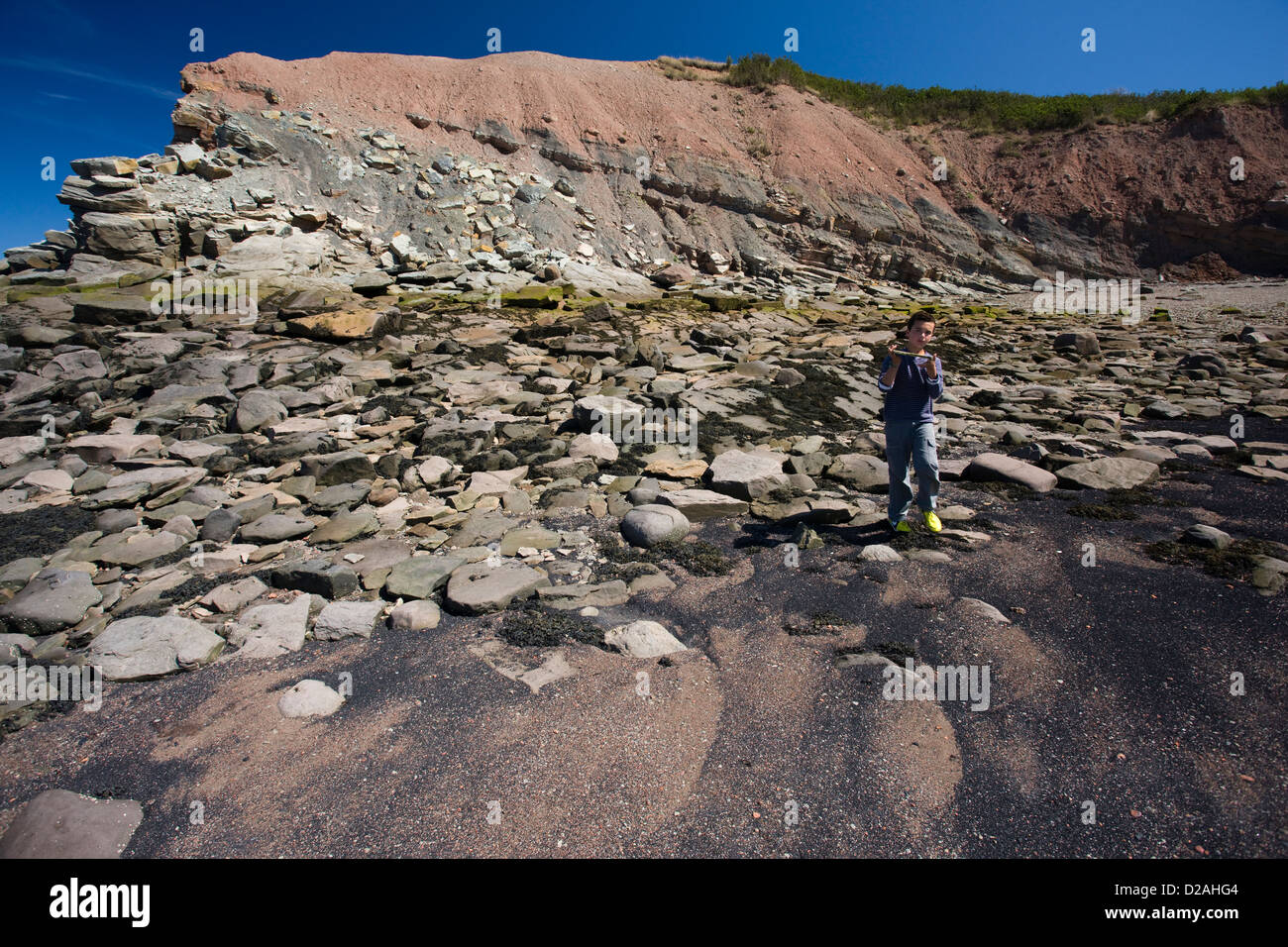 The beach and cliffs at the Joggins fossil cliffs, Nova Scotia, Canada ...
