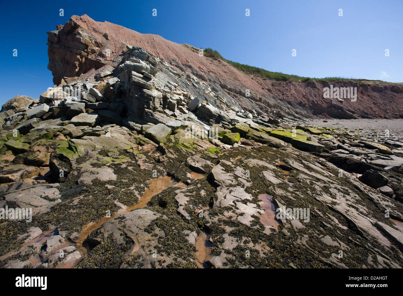 The beach and cliffs at the Joggins fossil cliffs, Nova Scotia, Canada ...
