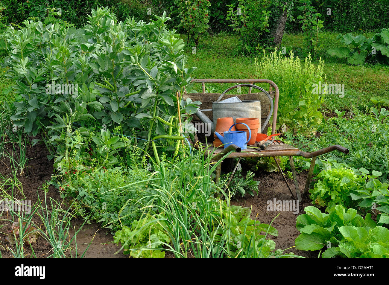 Val Bean High Resolution Stock Photography and Images - Alamy
