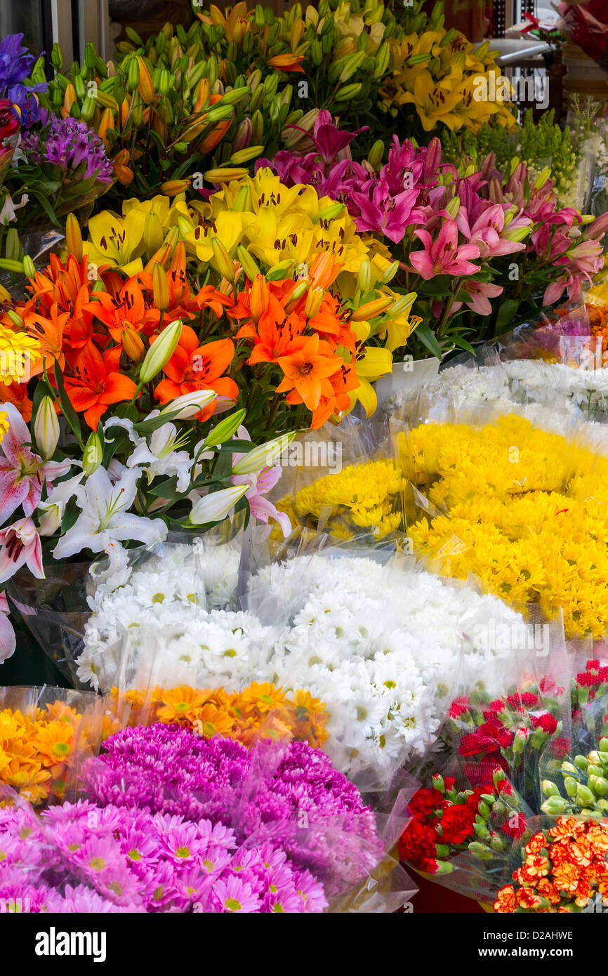 Flowers in Market Cadiz Spain Stock Photo - Alamy