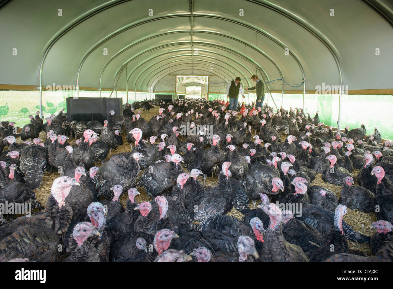 20 35 years hi-res stock photography and images - Alamy