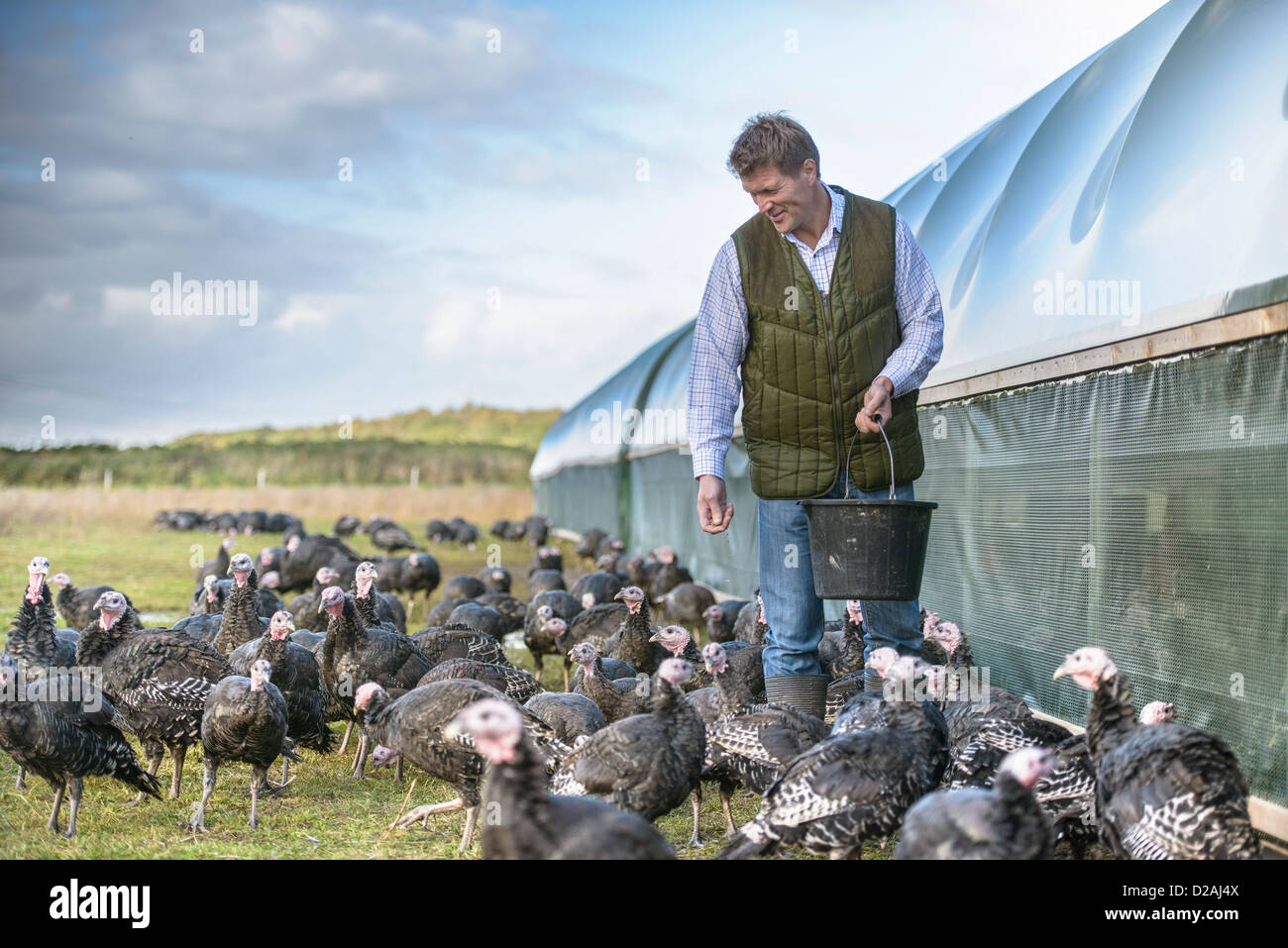 Human and animals on the farm hi-res stock photography and images - Alamy