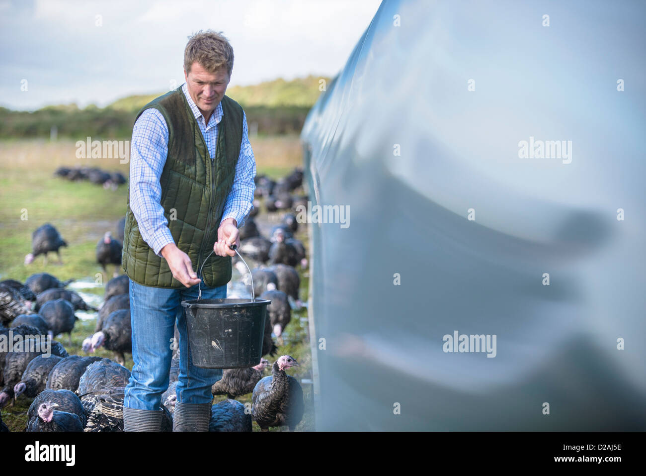 Farmer Feeding Animal High Resolution Stock Photography and Images - Alamy