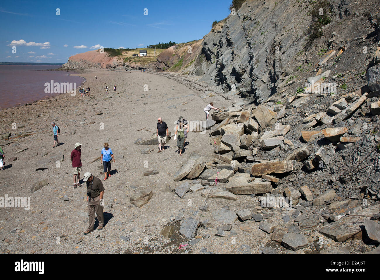 The beach and cliffs at the Joggins fossil cliffs, Nova Scotia, Canada ...