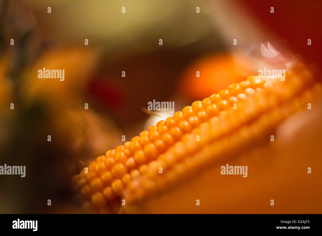 Ears Of Corn High Resolution Stock Photography and Images - Alamy