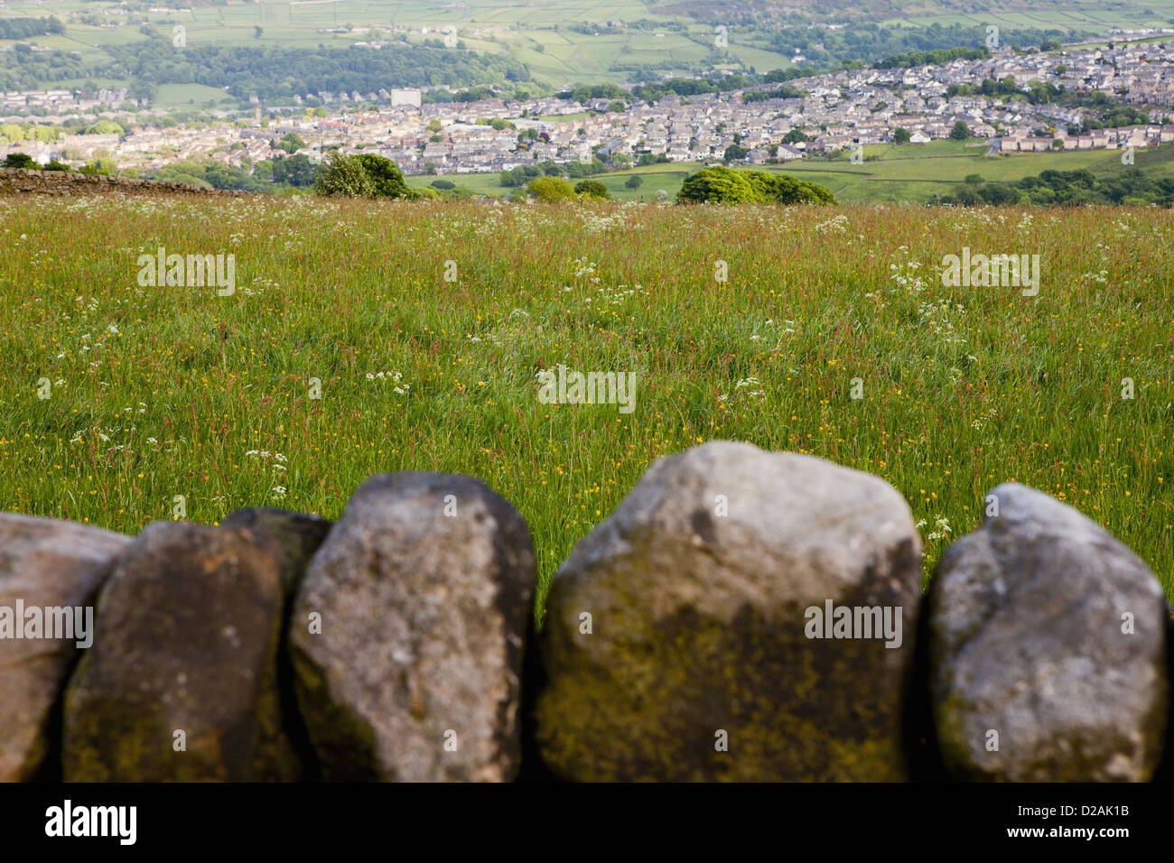 Stone wall in rural landscape Stock Photo - Alamy