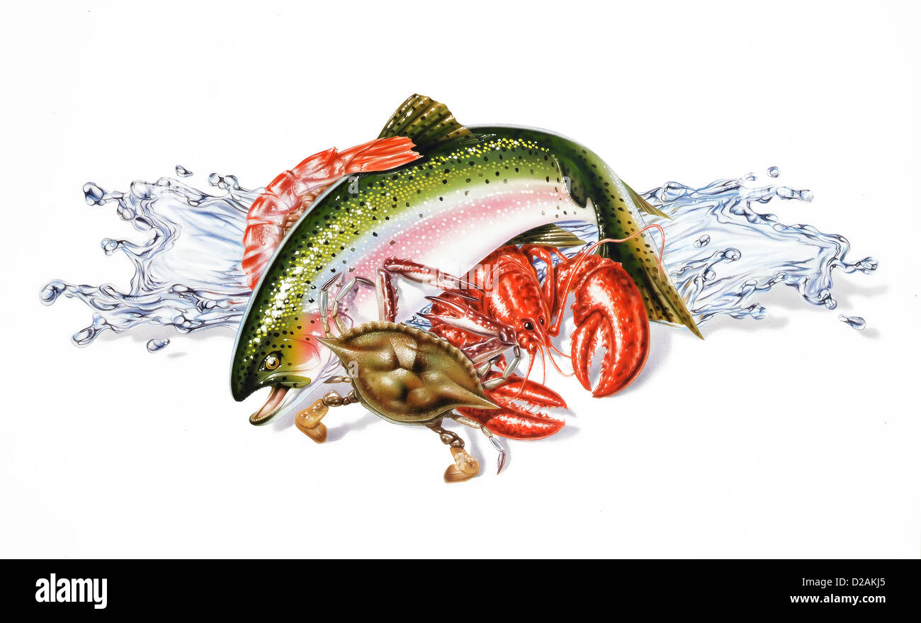 Group composition of different seafood and fish with water splashes ...