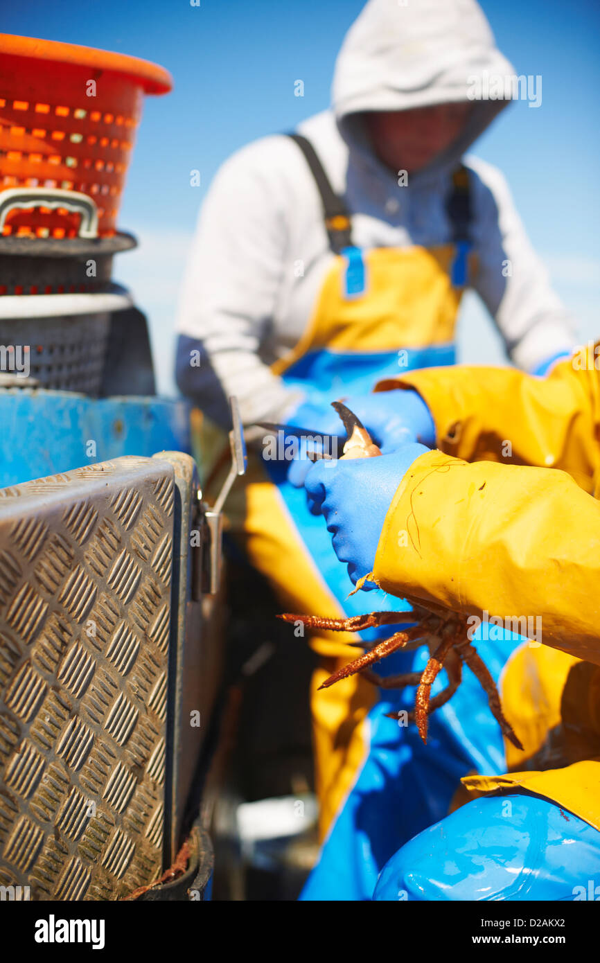 Fishermen at work on boat Stock Photo - Alamy