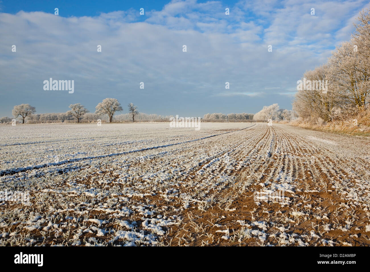 patterns and textures of a frozen winter landscape with frost covered ...
