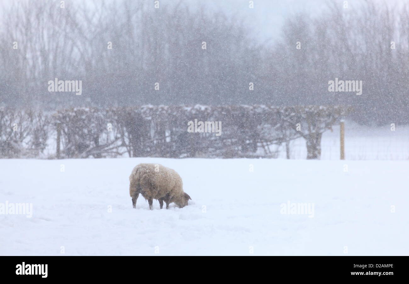 Weston rhyn hi-res stock photography and images - Alamy