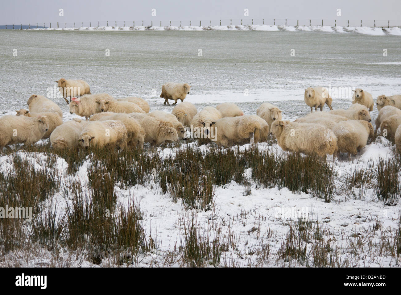 Biting wind hi-res stock photography and images - Alamy