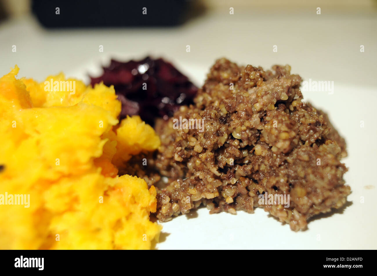 Haggis and swede with red cabbage . Haggis is a Scottish traditional ...
