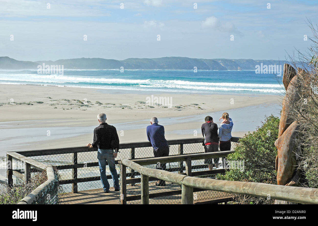 People watching surf and beach from viewing platform, near Denmark ...