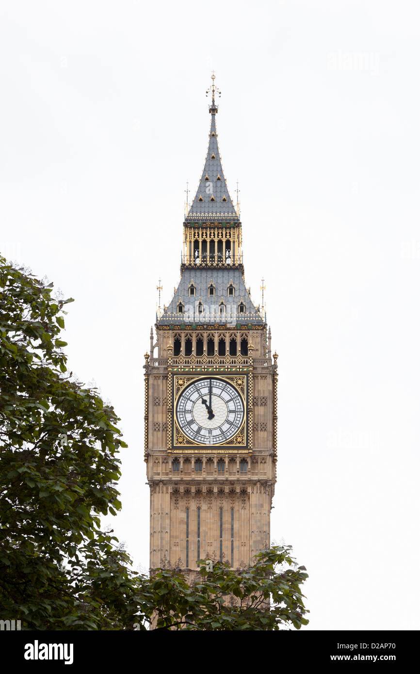 Big Ben clock tower with tree Stock Photo - Alamy