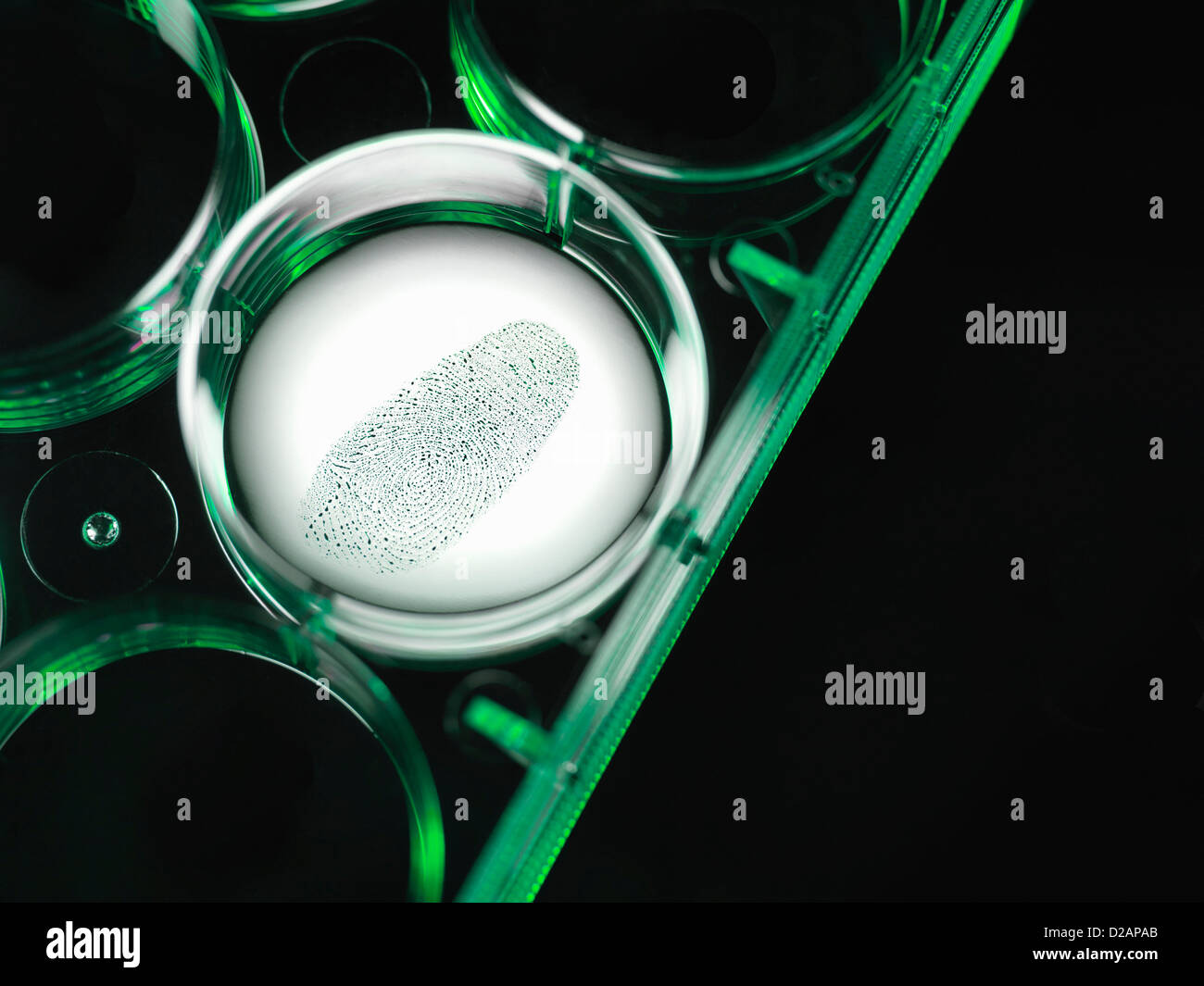 Forensic identification hi-res stock photography and images - Alamy