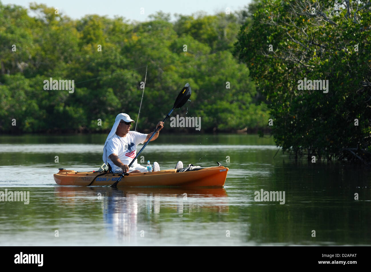 Florida naples bay mangrove hi-res stock photography and images - Alamy