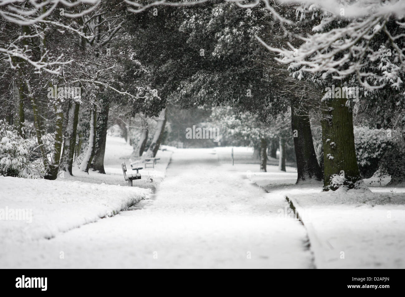 18-01-2013 - Ryde, Isle of Wight - Appley Park, Ryde remains almost ...