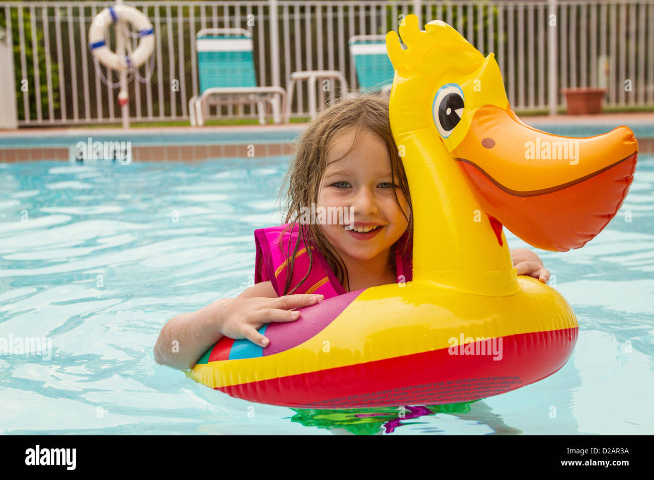 Pelican pool hi-res stock photography and images - Alamy