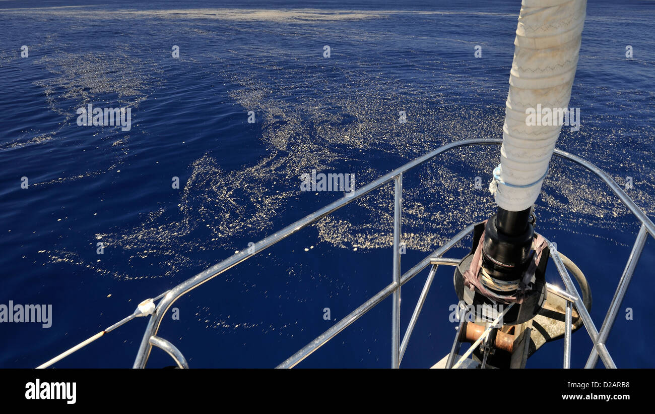 Pumice, presumably from subterranean volcanic activity, floating on the ...