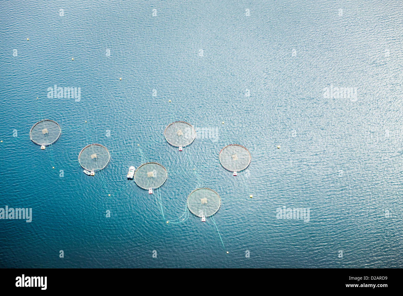 Pods in ocean aerial hi-res stock photography and images - Alamy
