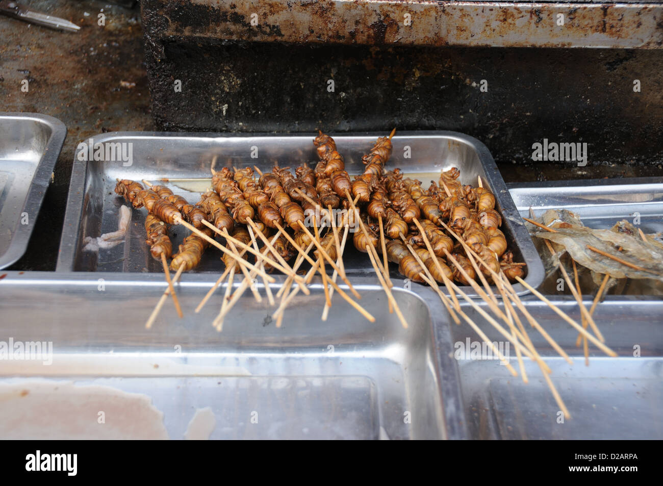 Insects as a snack food Stock Photo - Alamy