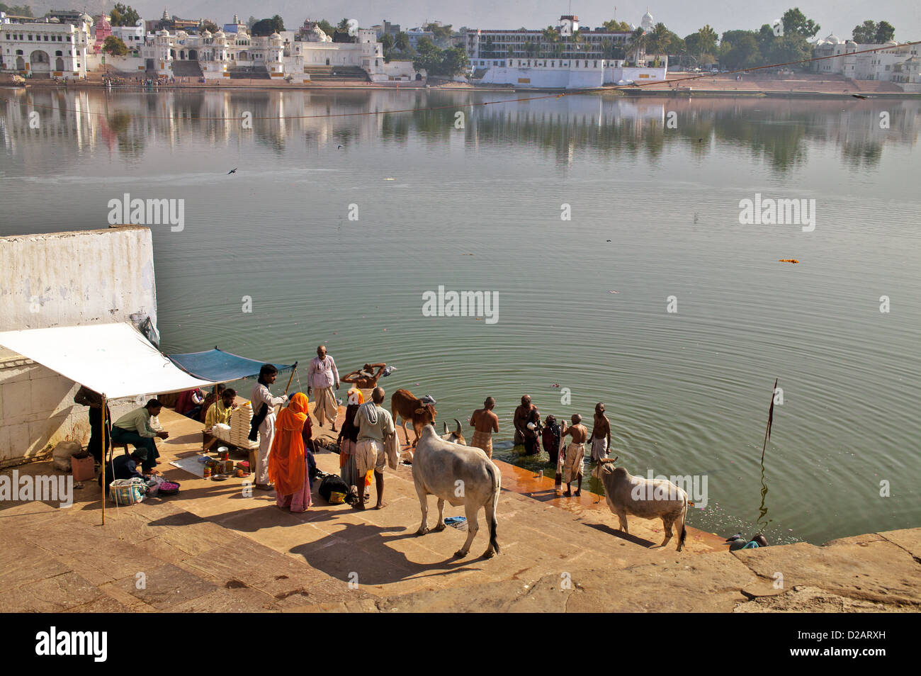 RELIGIOUS HINDU BATHING AT THE PUSHKAR GHATS AJMER DISTRICT RAJASTHAN ...