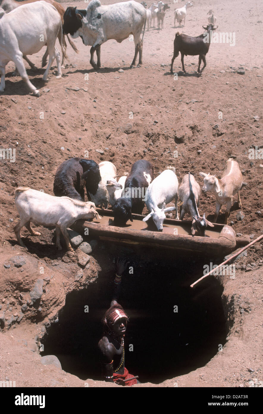 Watering trough for animals hi-res stock photography and images - Alamy