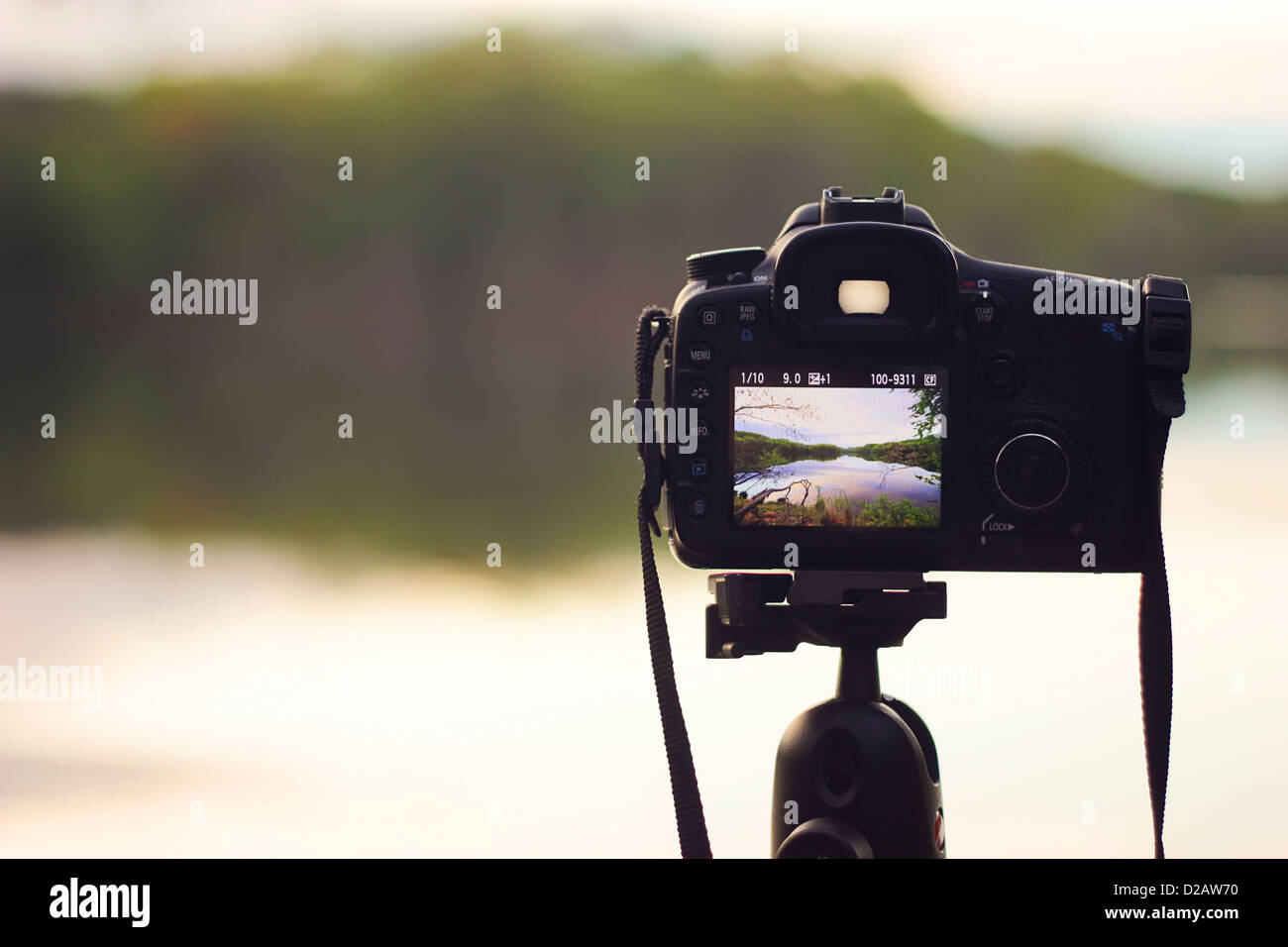 Back view photo hi-res stock photography and images - Alamy