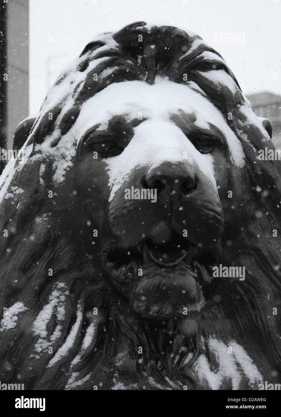 LION STATUE IN THE SNOW GENERAL SNOW VIEWS AROUND LONDON LONDON ENGLAND ...