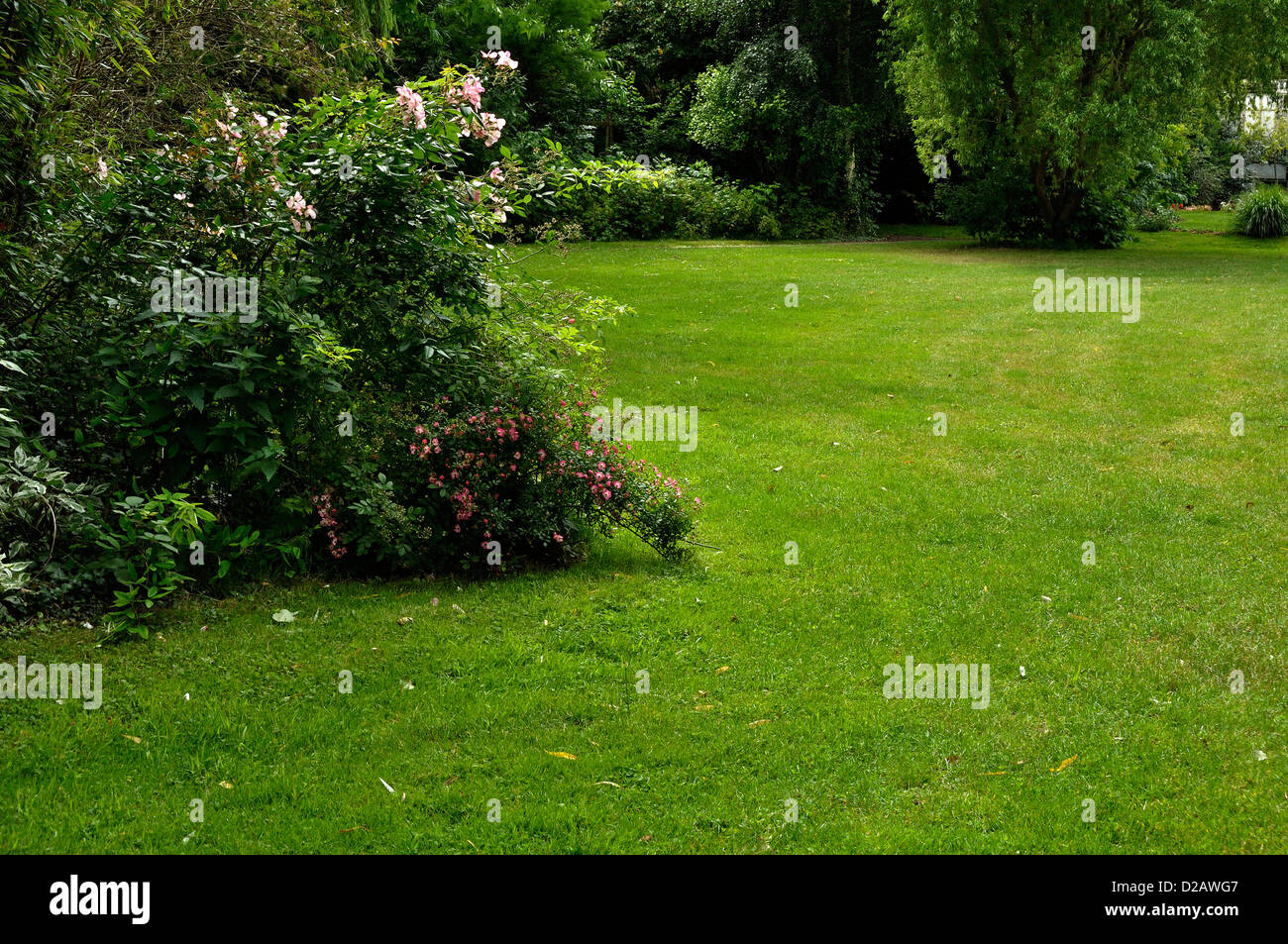 Une pelouse dans un parc par des arbustes et des hi-res stock ...