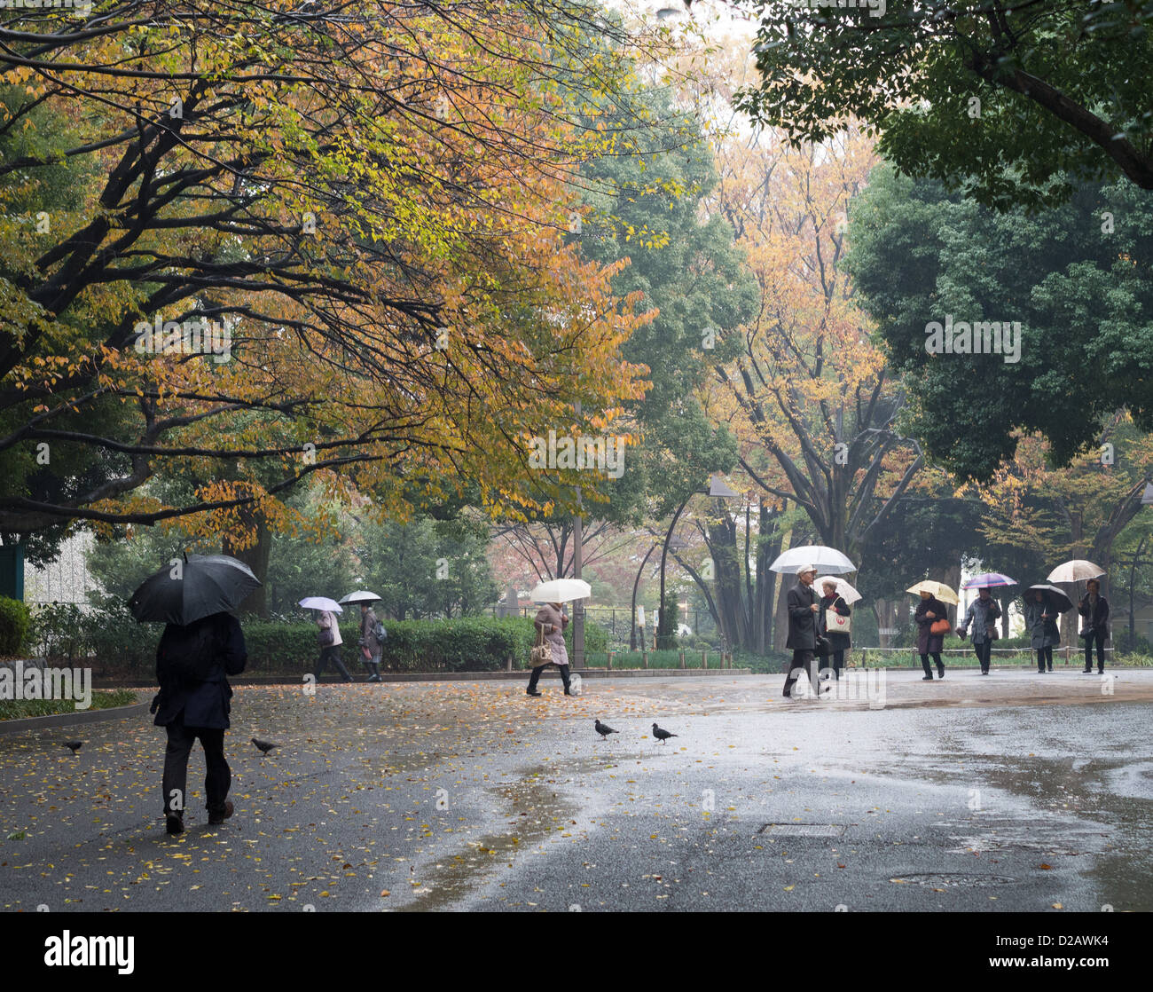 Fall color in Ueno Park, Tokyo, Japan Stock Photo - Alamy