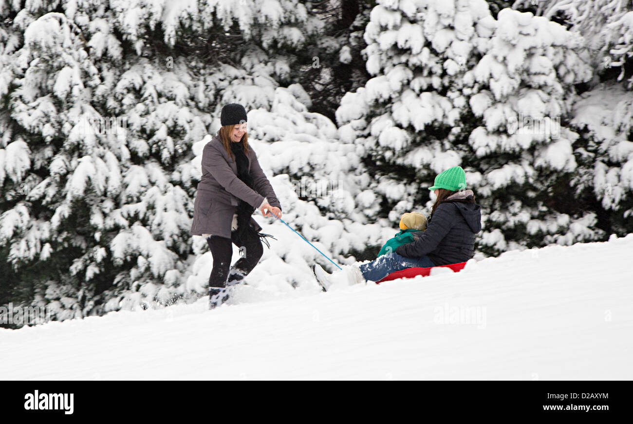 Woman pulling children on a sledge in a public park in Abergavenny ...
