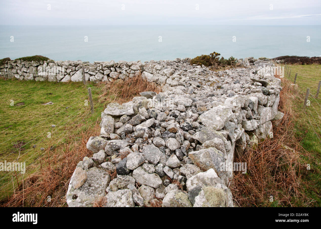 Granite stone wall dividing a cliff top field near Zennor Cornwall UK ...