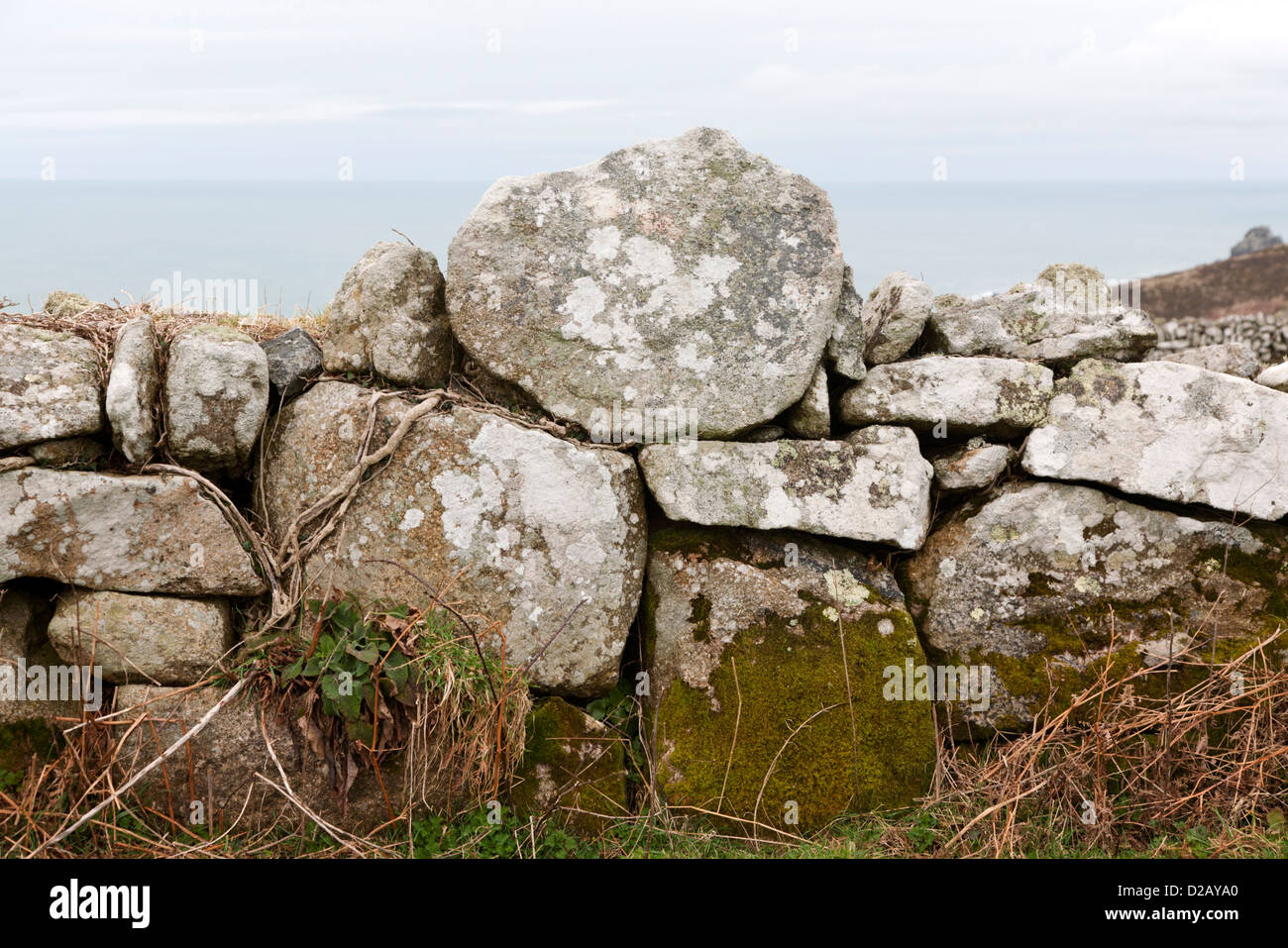 Granite stone wall dividing a cliff top field near Zennor Cornwall UK ...