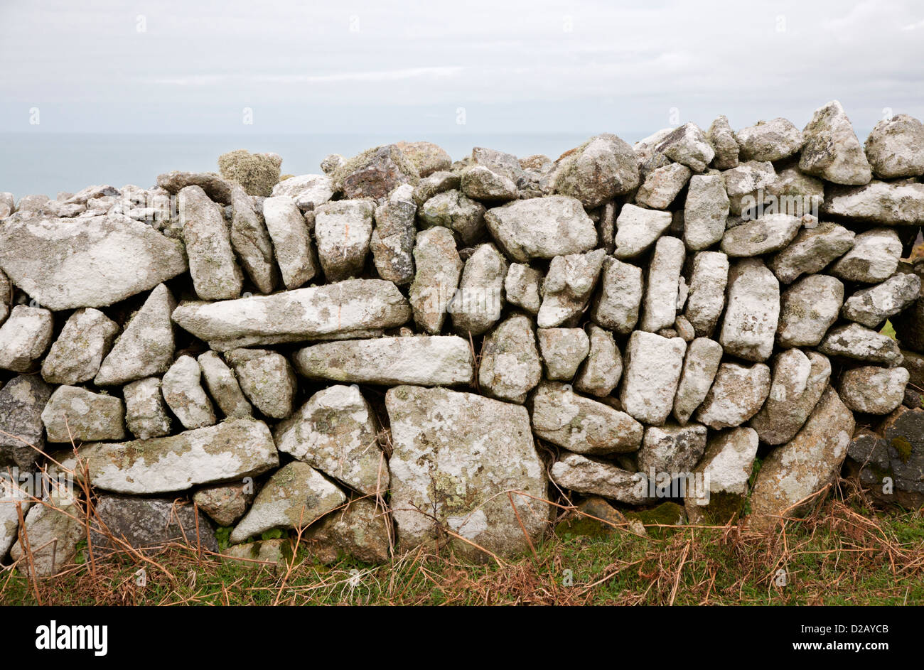 Granite stone wall dividing a cliff top field near Zennor Cornwall UK ...