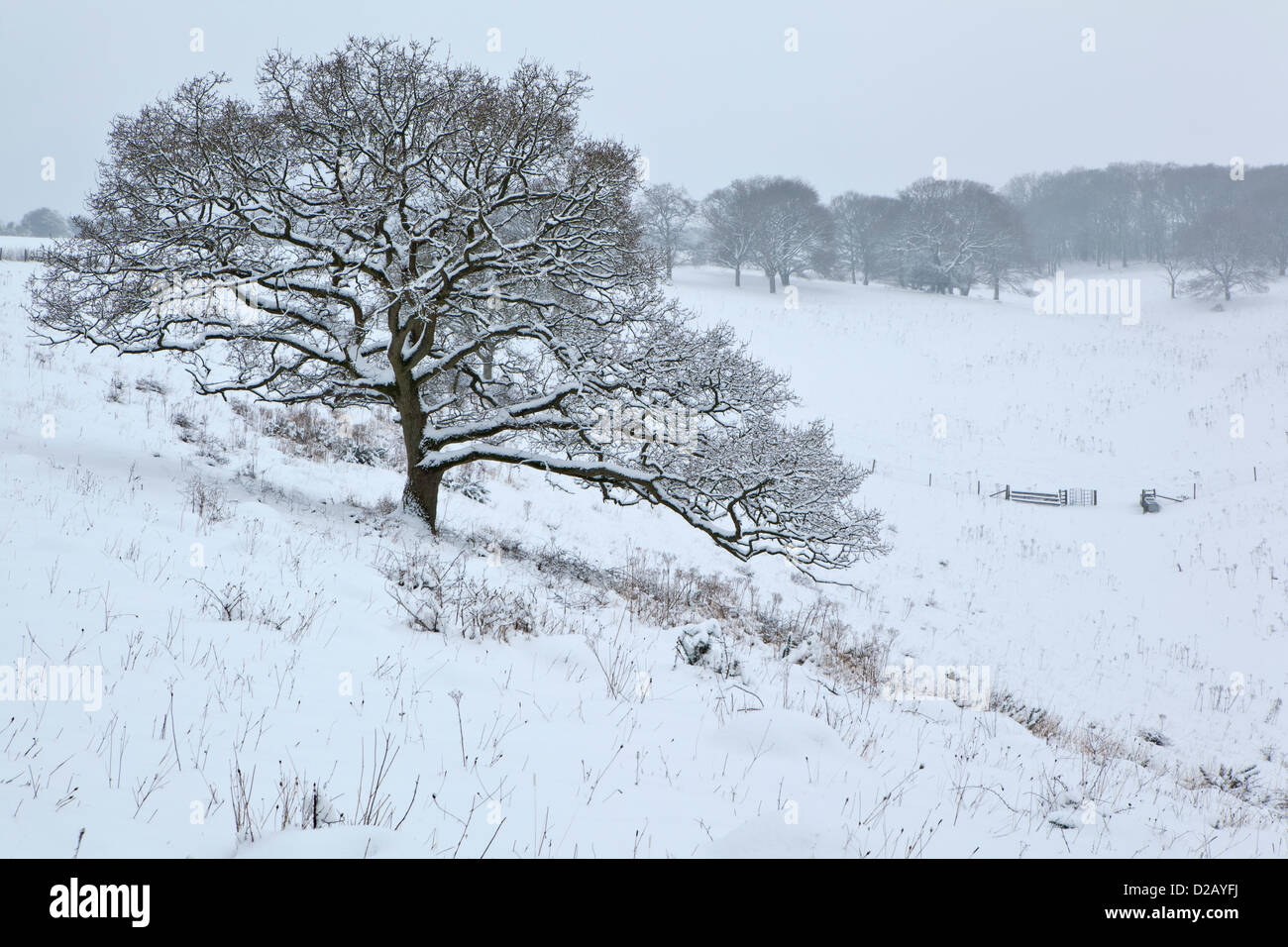 Friday snow hi-res stock photography and images - Alamy