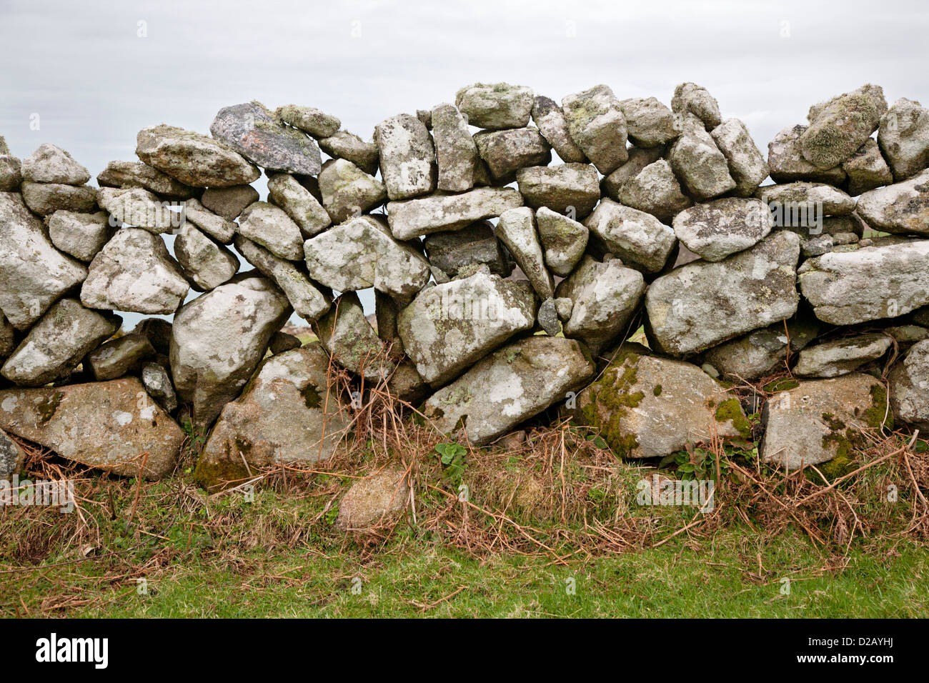 Granite stone wall dividing a cliff top field near Zennor Cornwall UK ...