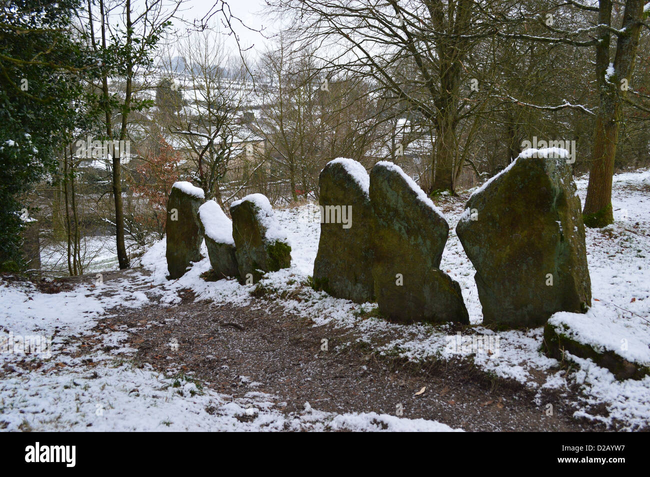 A small section of the snow covered Vaccery wall field enclosures from ...